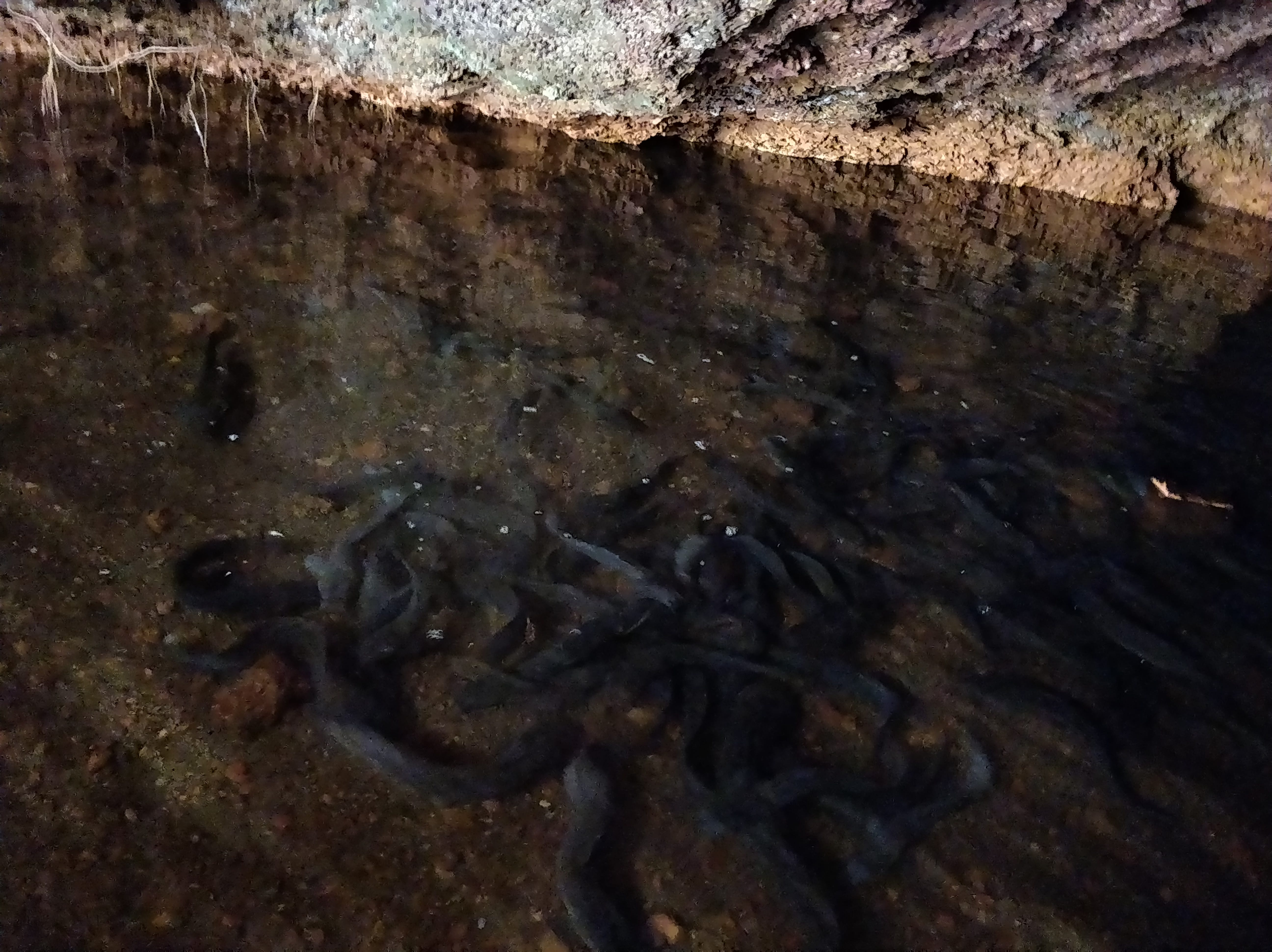 Keradi Cave temple and many other places - long drive